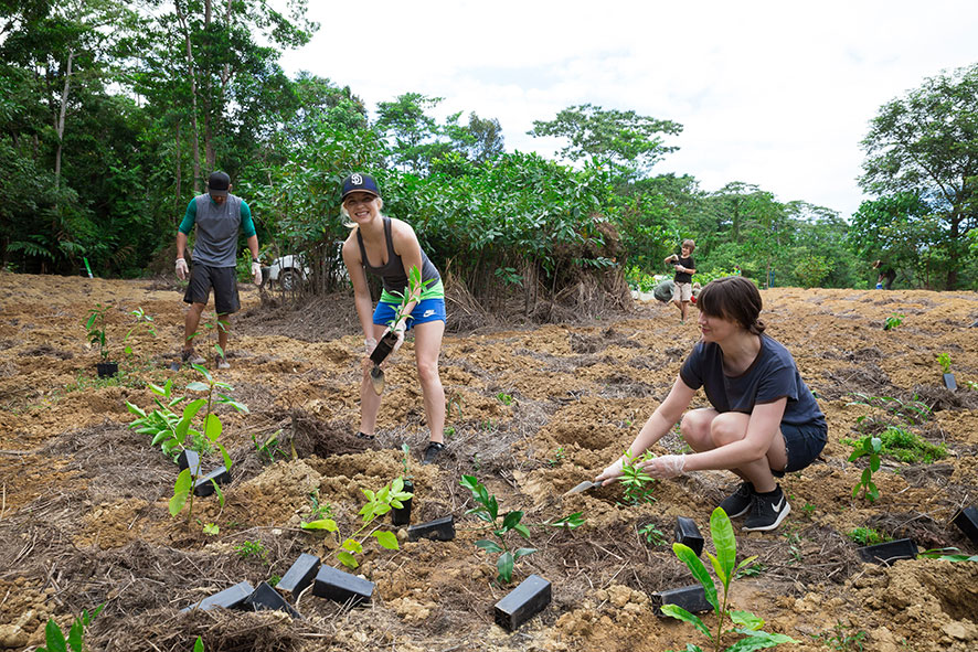 Rainforest Rescue News - Lot 46 Community Planting Weekend