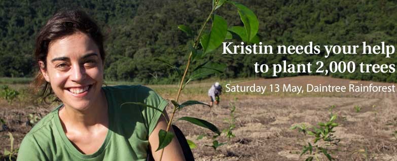 Rainforest Rescue News - Help Us Plant a Rainforest