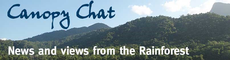 Rainforest Rescue News - Engaging Indigenous Communities in Protected ...