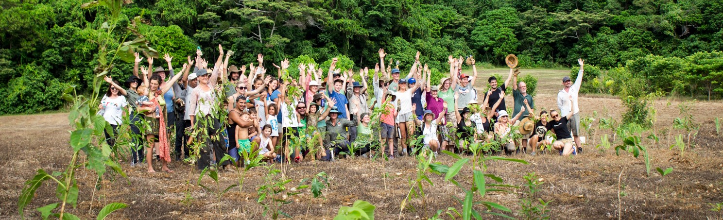 Rainforest Rescue News - Plant a Tree - or 4000!
