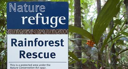 Rainforest Rescue News - Eleven Rainforest Properties Protected Forever
