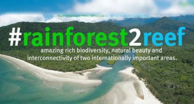 Rainforest Rescue News - Celebrating #rainforest2reef