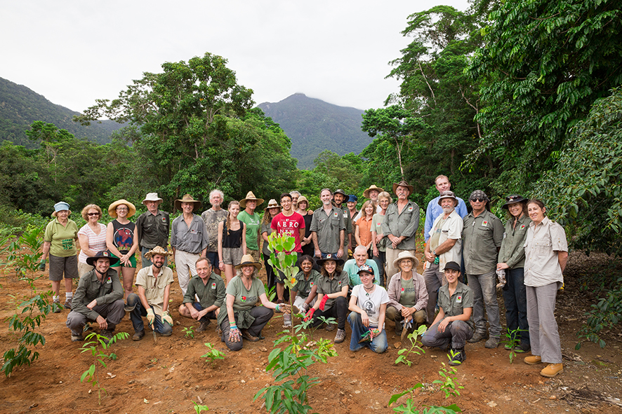 Rainforest Rescue News - Planting Rainforests for the Future