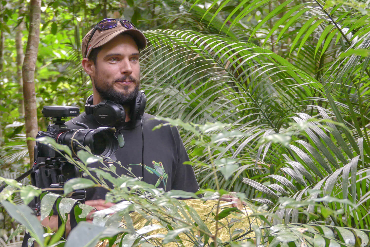 Rainforest Rescue News - Martin Stringer wins Films for the Forest ...