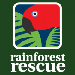 Rainforest Rescue | Protect Rainforests Forever‎