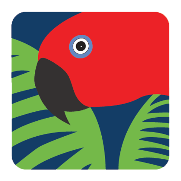 Rainforest Rescue - Together we can Protect Rainforests Forever