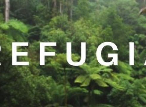 Rainforest Rescue - Together we can Protect Rainforests Forever