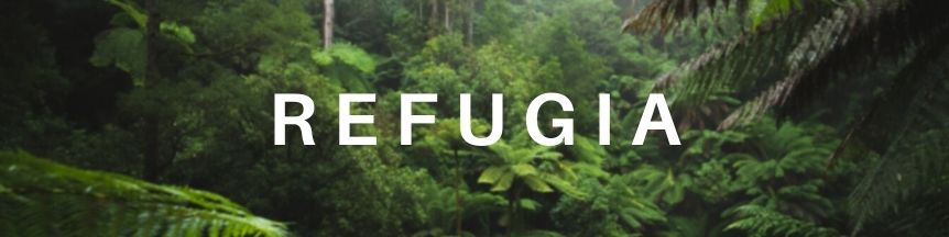 Refugia - News - Rainforest Rescue