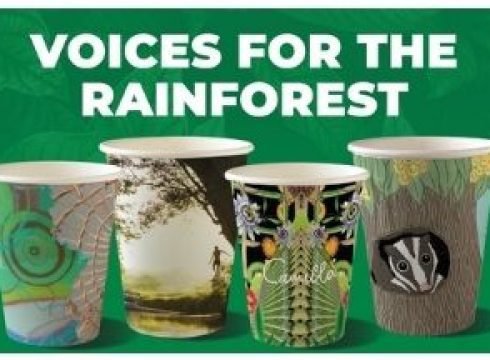 Rainforest Rescue - Together we can Protect Rainforests Forever