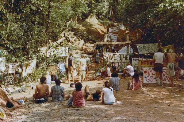 History of Development in the Daintree - Rainforest Rescue