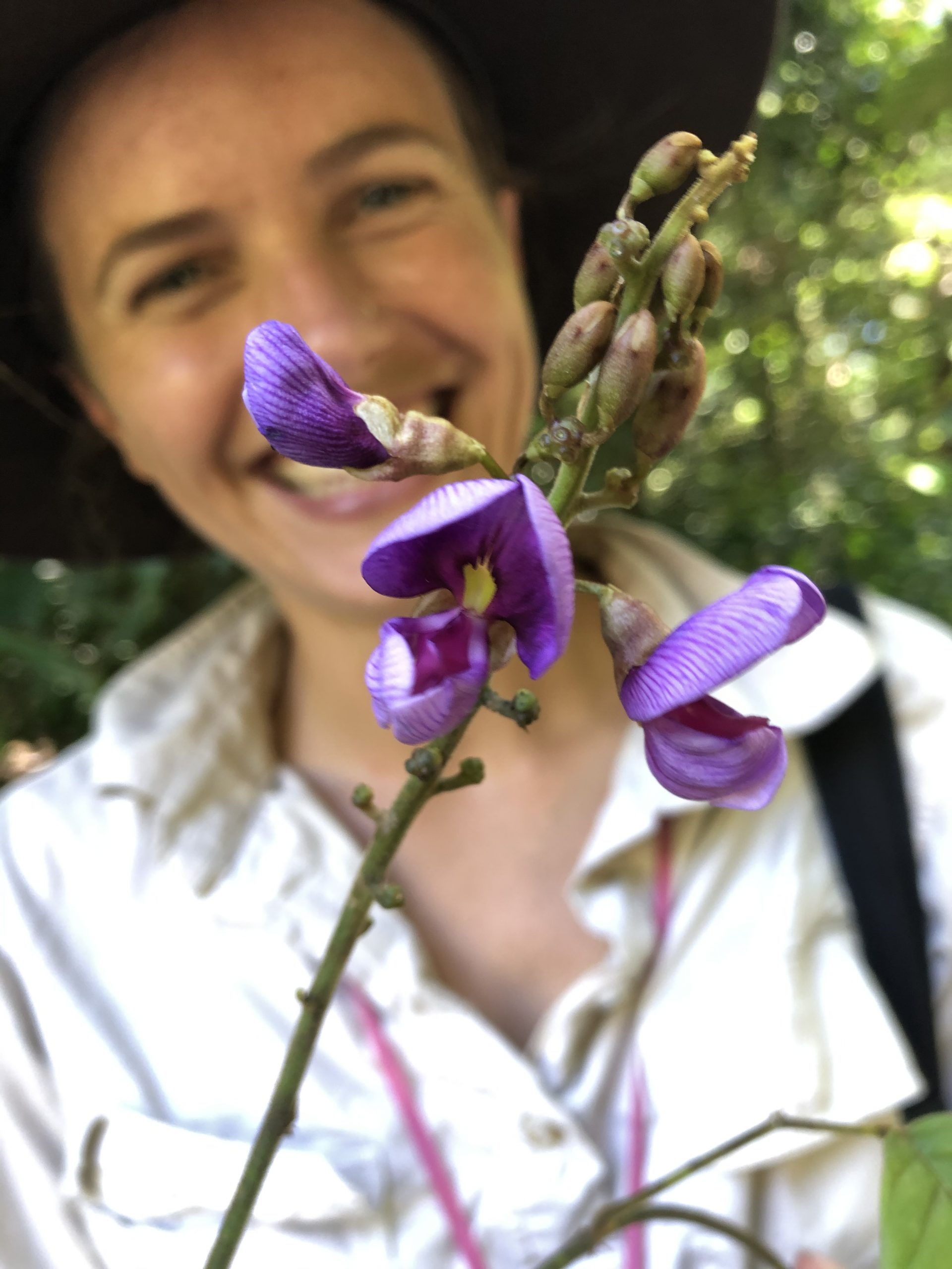 Volunteer Spotlight - Teghan Collingwood - Rainforest Rescue News