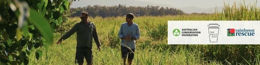 The Daily Aus in the Daintree - Rainforest Rescue News