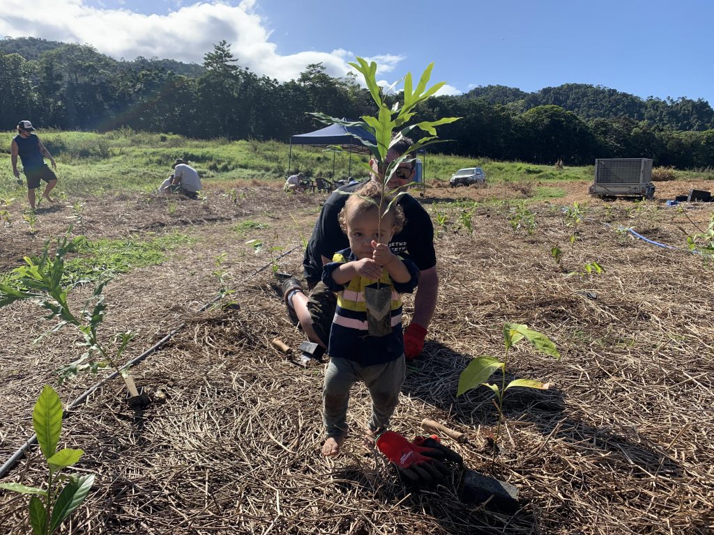 August Community Tree Planting Day - Rainforest Rescue News