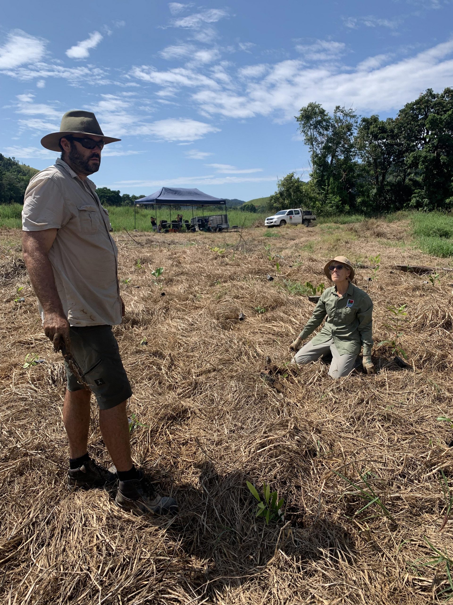 October Community Tree Planting Day - Rainforest Rescue News