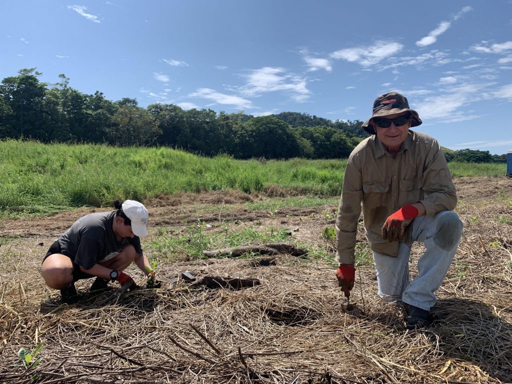 October Community Tree Planting Day - Rainforest Rescue News