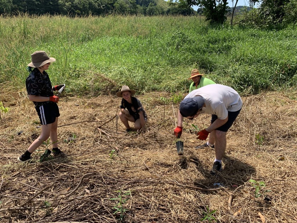 November Community Tree Planting Day - Rainforest Rescue News