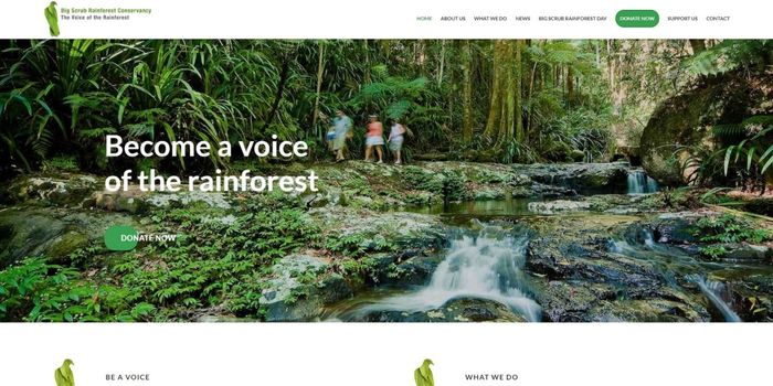Meet our Conservation Partners - Rainforest Rescue