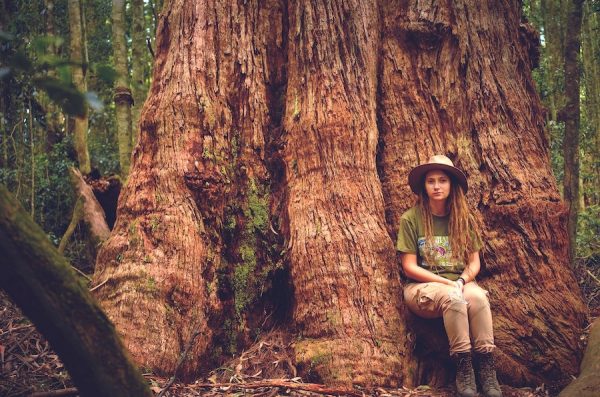 Rainforest Rescue - Welcome Michela Fieni and Nicolas Walker