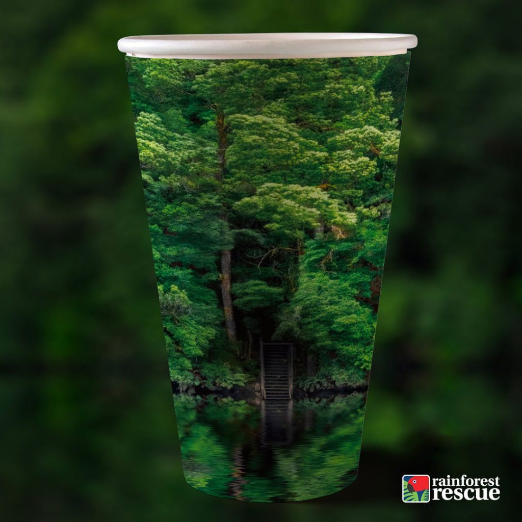 Robin Moon – an Upstream Paddle to Lover's Steps - Rainforest Rescue