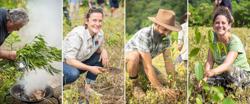 2023 Annual Community Tree Planting Day Recap - Rainforest Rescue News