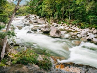 Our Latest Partners for Protection - Rainforest Rescue Business Partners