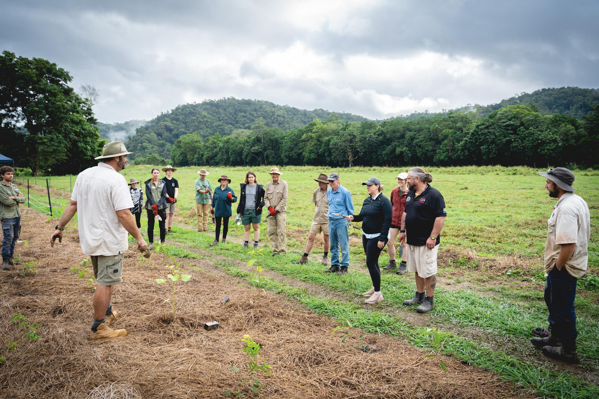 June Community Tree Planting Day - Rainforest Rescue News