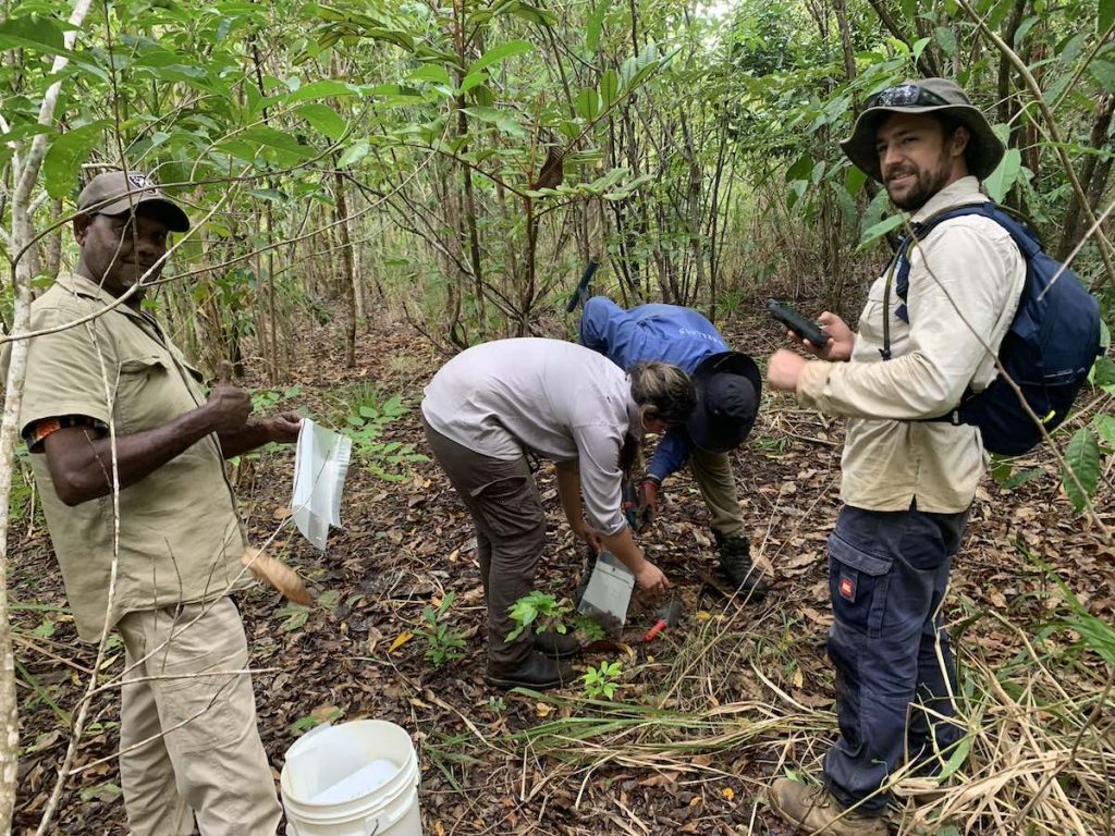 Unearthing the Mysteries of Soil Recovery - Rainforest Rescue