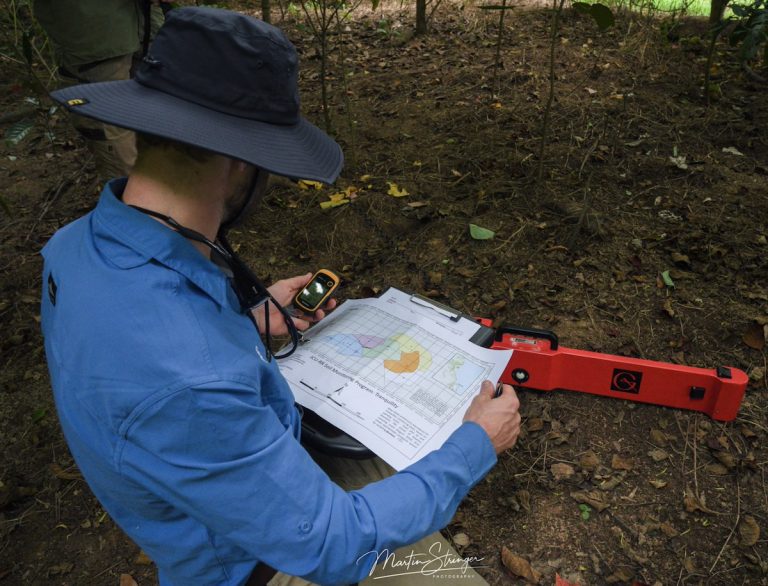 Unearthing the Mysteries of Soil Recovery - Rainforest Rescue