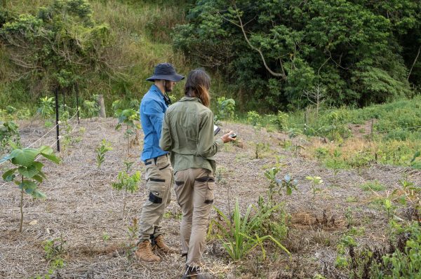 Unearthing the Mysteries of Soil Recovery - Rainforest Rescue