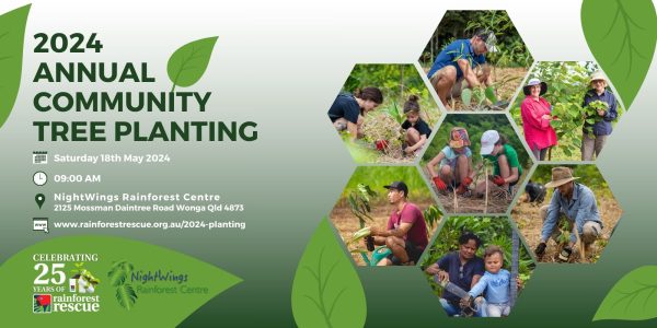 2024 Annual Community Tree Planting Day - Rainforest Rescue News