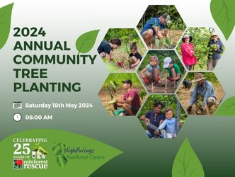 2024 Annual Community Tree Planting Day - Rainforest Rescue News