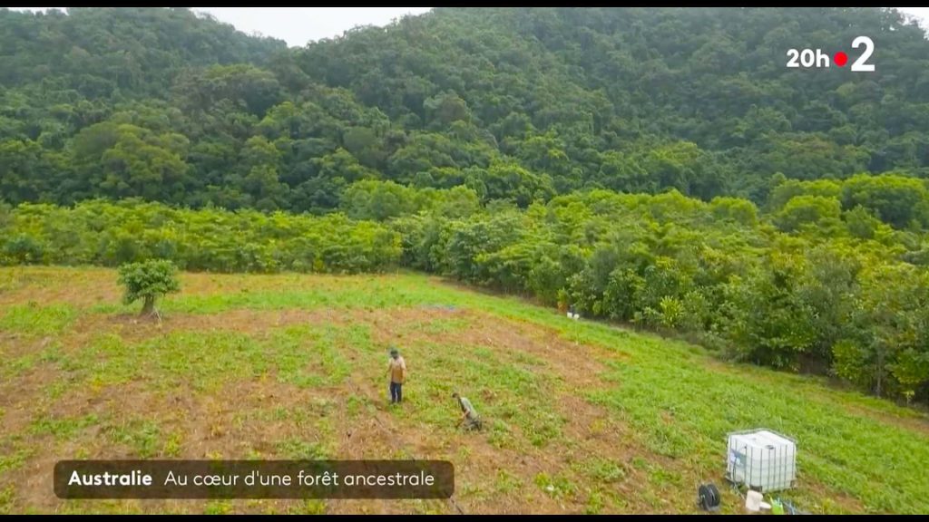 “This could be a Hope Spot.” French filmmakers share Daintree ...