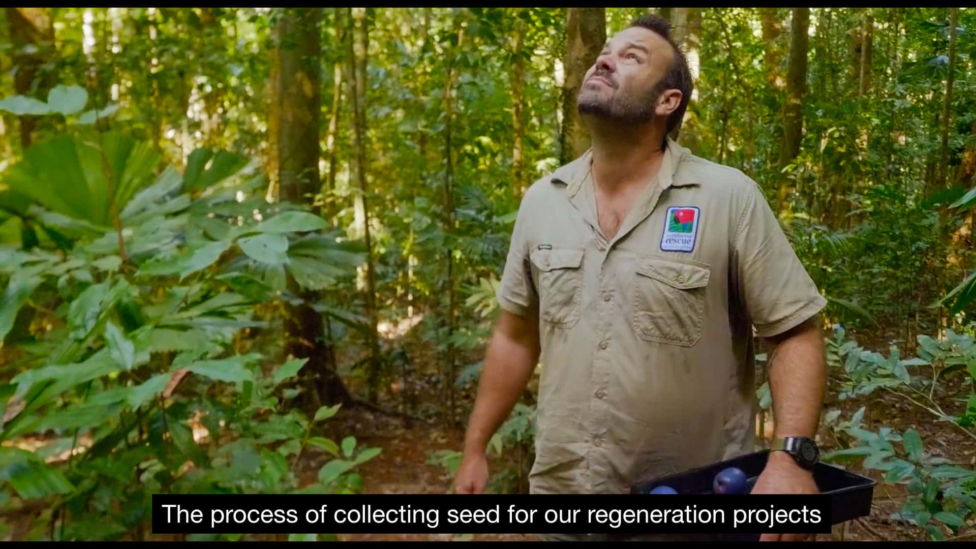 “This could be a Hope Spot.” French filmmakers share Daintree ...