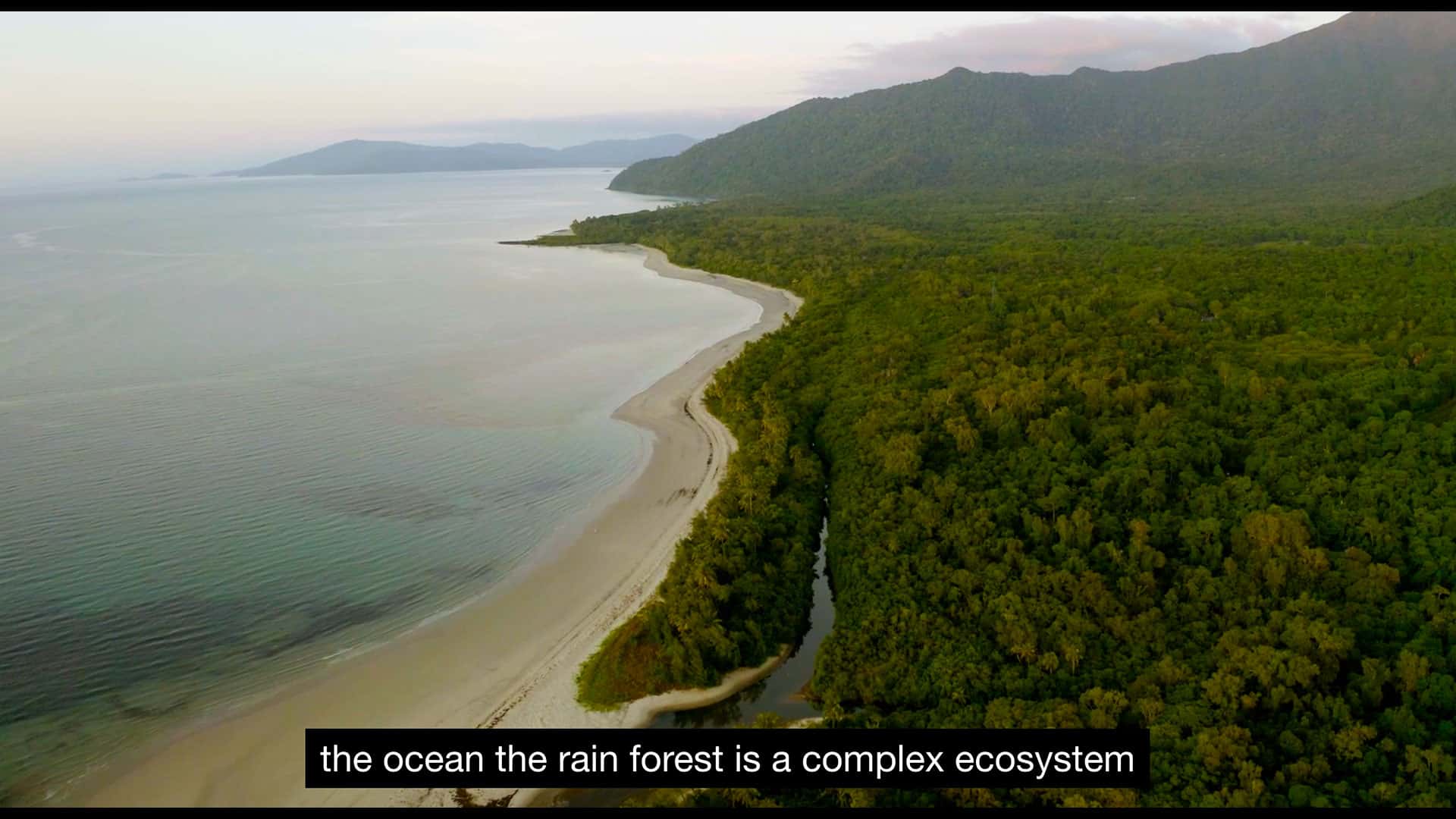 “This could be a Hope Spot.” French filmmakers share Daintree ...