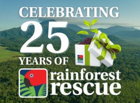 Rainforest Rescue - Together we can Protect Rainforests Forever