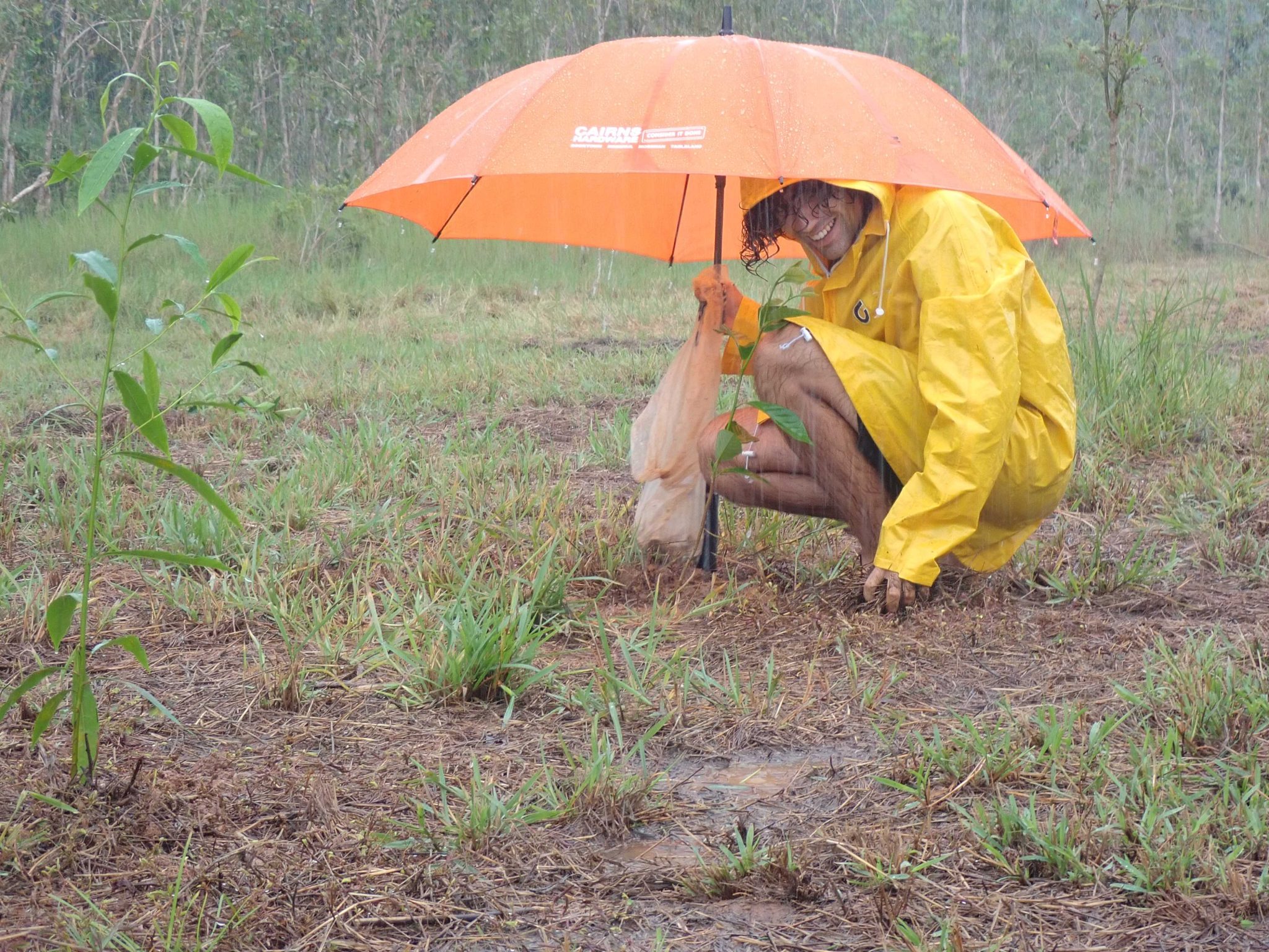 In The News: Building Momentum for Daintree Conservation - Rainforest ...