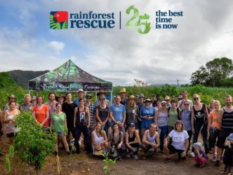 Emily's Ideas for Taking Action for Rainforests - Rainforest Rescue