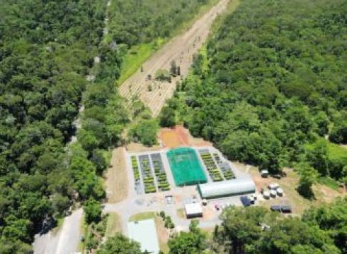 Rainforest Rescue - Together we can Protect Rainforests Forever