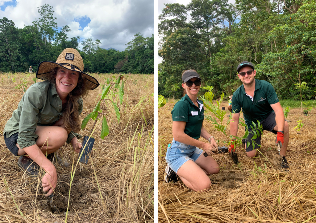 In The News: Building Momentum for Daintree Conservation - Rainforest ...