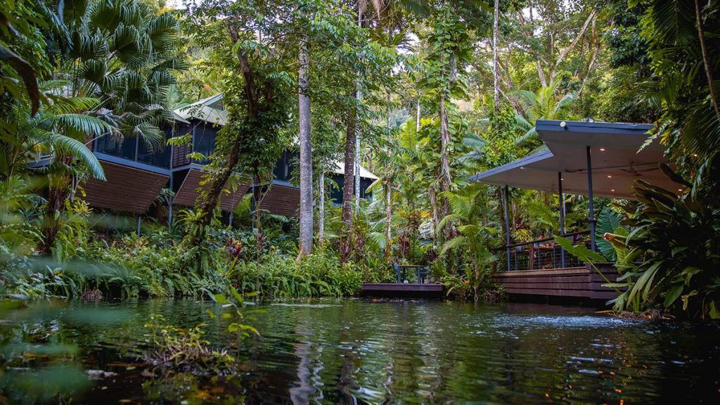 Intrepid Travel and Rainforest Rescue Unite for Conservation - News