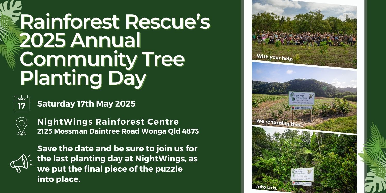2025 Annual Community Tree Planting Day - Rainforest Rescue News