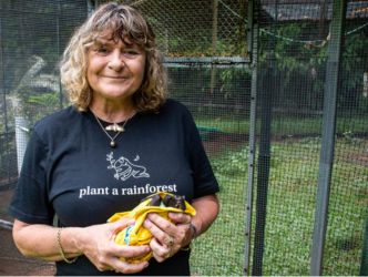 The woman behind Wonga Beach's flying-fox sanctuary - Rainforest Rescue