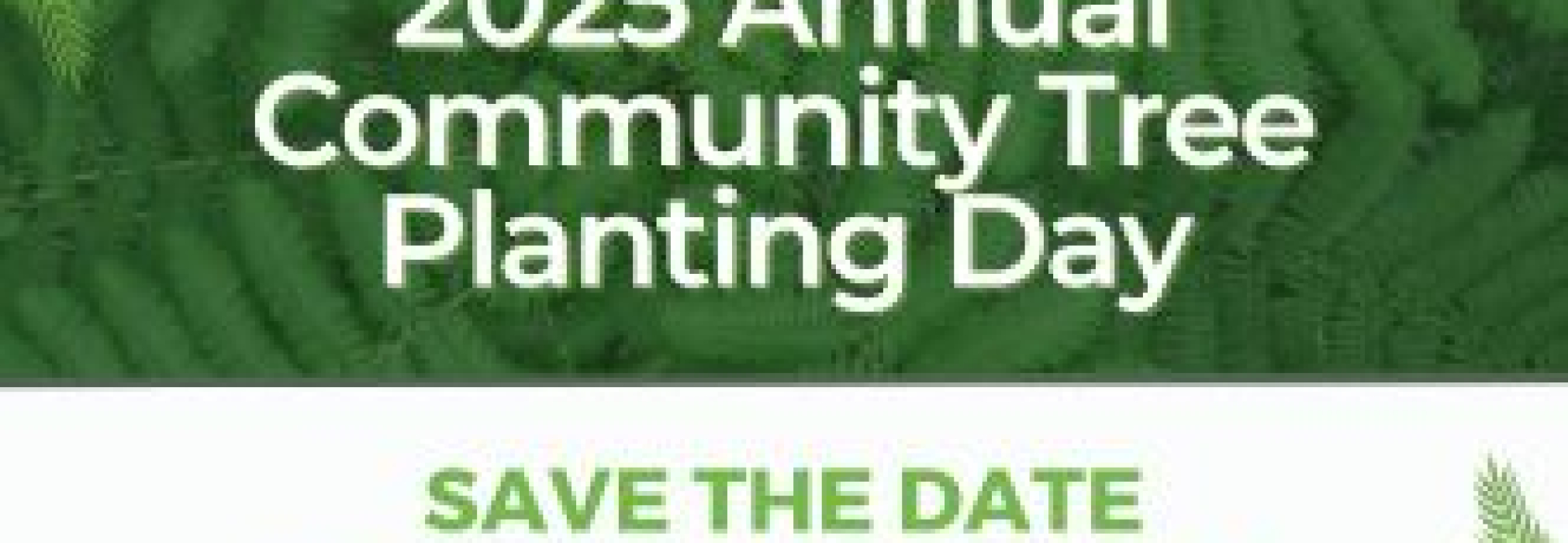 2025 annual community tree planting day - Rainforest Rescue