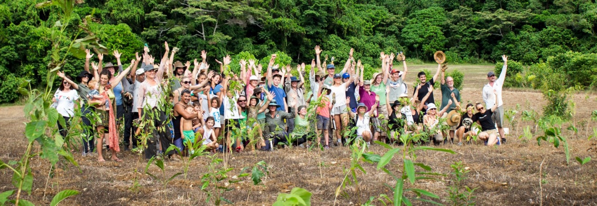 rescue - Rainforest Rescue