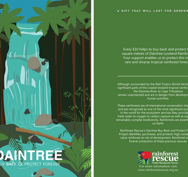 daintree rainforest - Rainforest Rescue