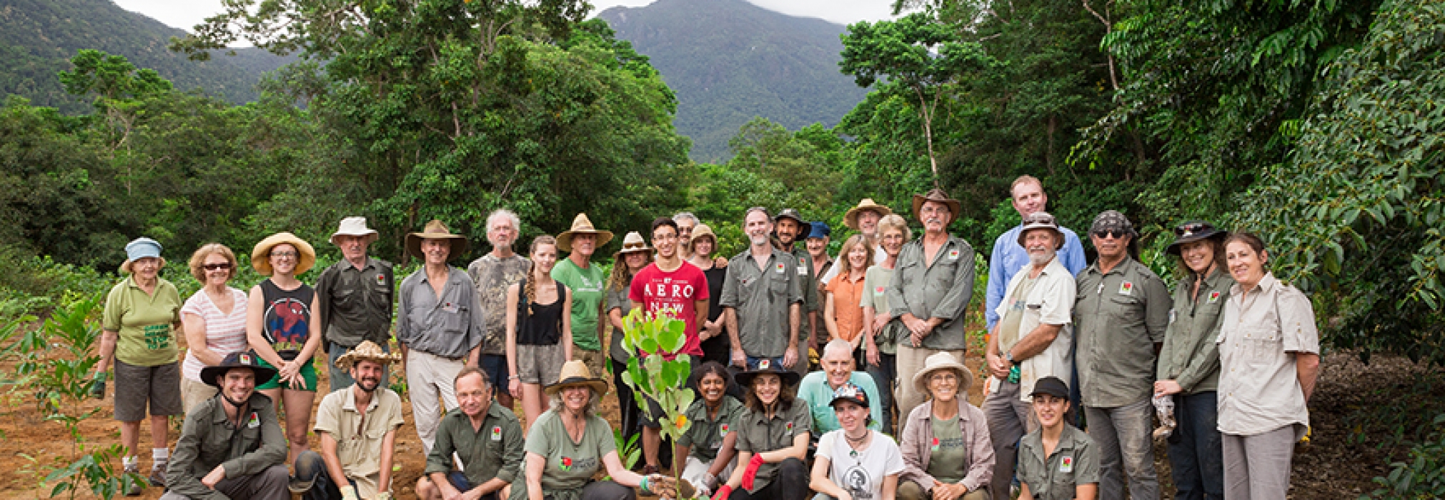 rr99 - Rainforest Rescue